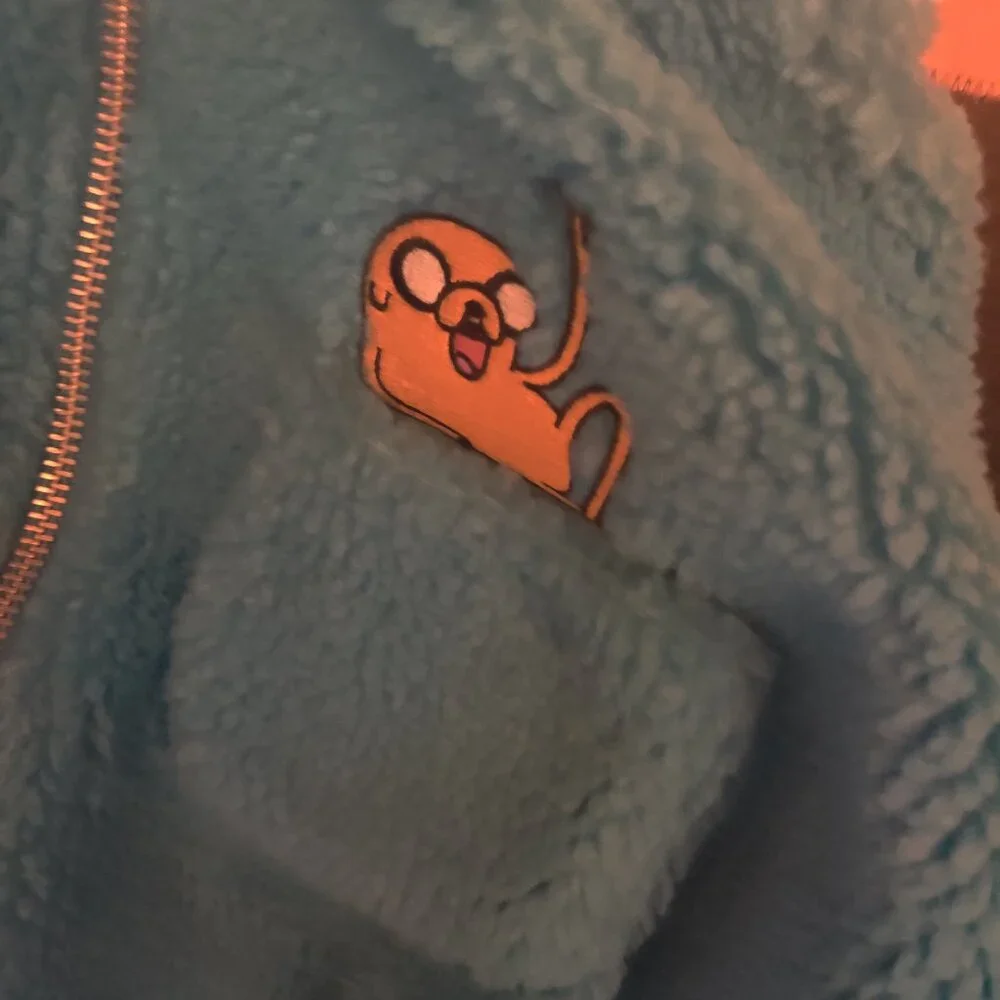 Dolls Kill | Jackets & Coats | Dolls Kill Adventure Time Jacket Size X ...